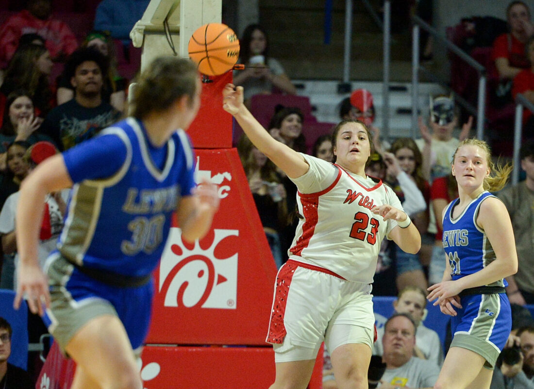 WVSWA Releases W.Va. All-State Class AAA Girls Basketball Teams | News ...